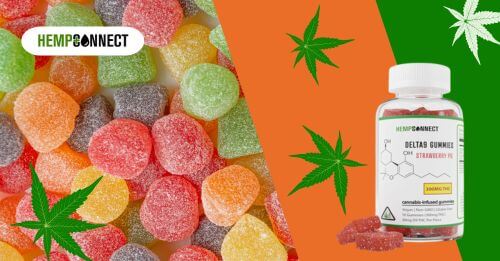 "BUY PREMIUM THC GUMMIES IN KNOXVILLE, TN"